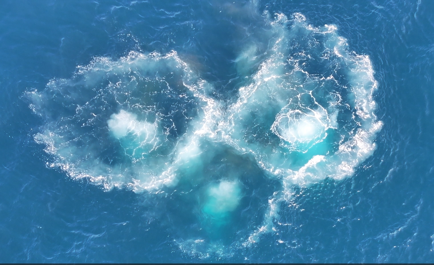 Offshore Artificial Reefs - Terrigal and Forster - SMC Marine